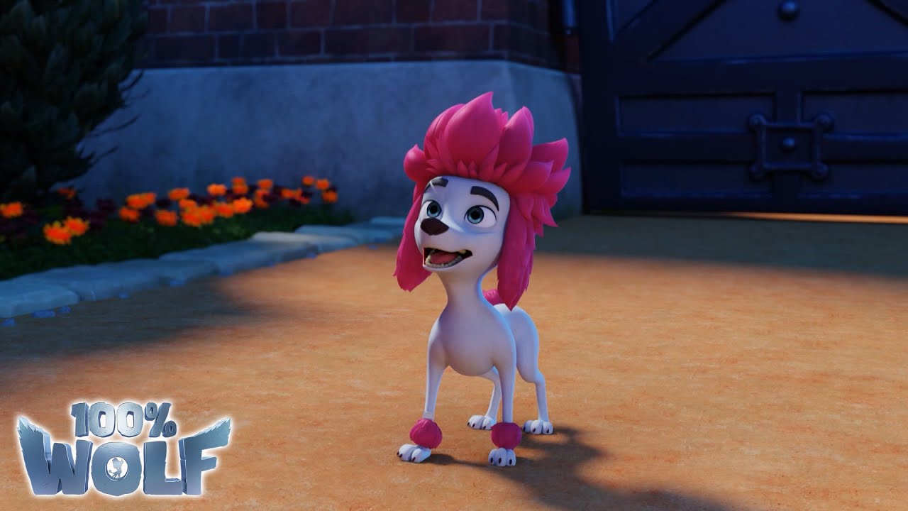 Freddy made it | Exciting clips | 100% Wolf🐺🐩Wolf | - YouTube