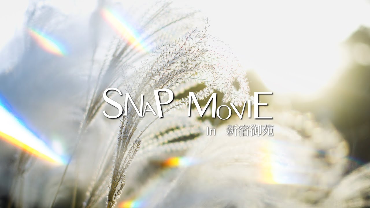 snap movie in 新宿御苑 / スナップムービー / vlog - YouTube