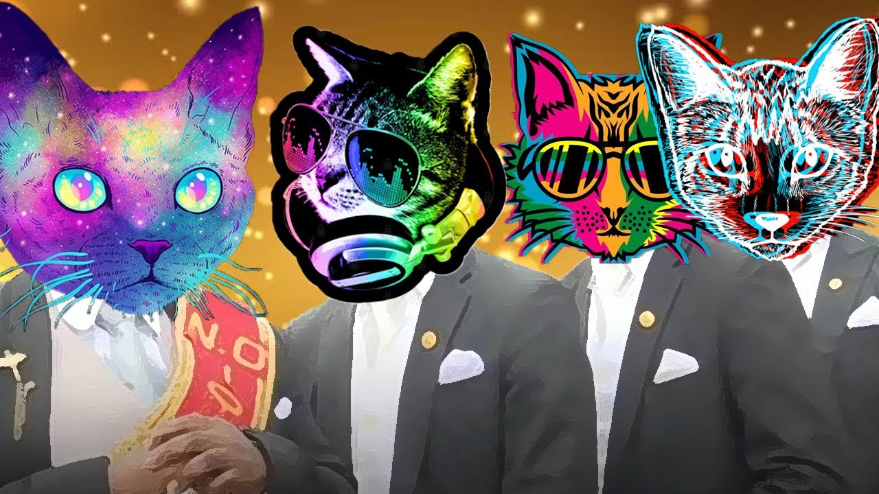 Compilation Of Funny Cats Rave - Coffin Dance Song (COVER) - YouTube