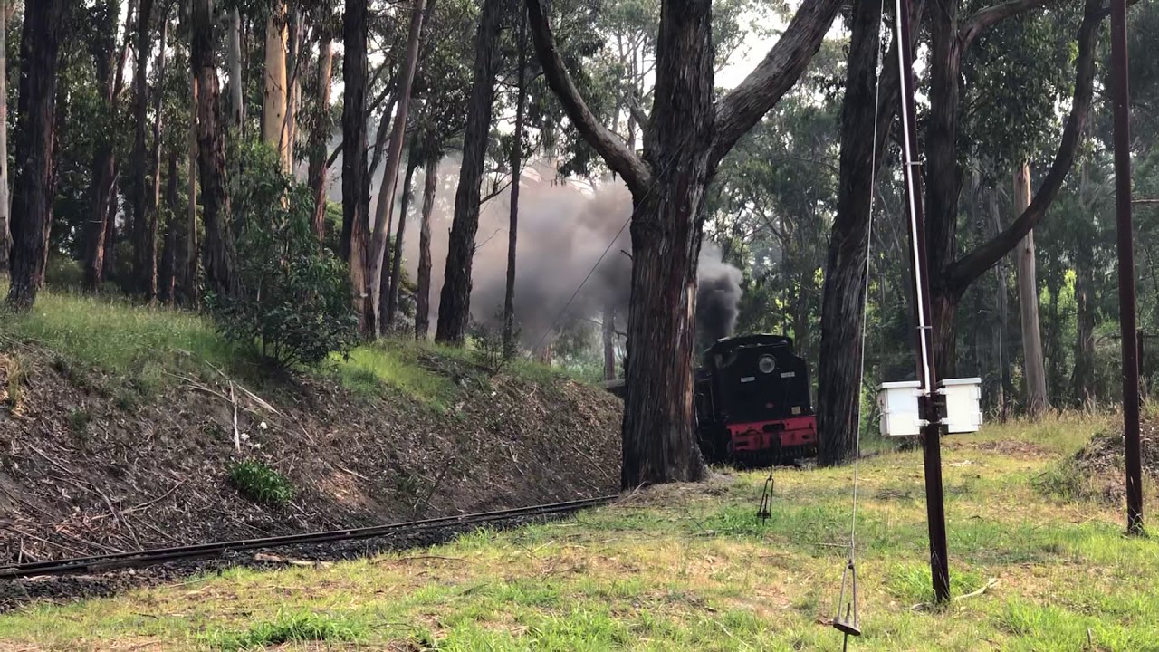 NGG16 129 on Puffing Billy - YouTube