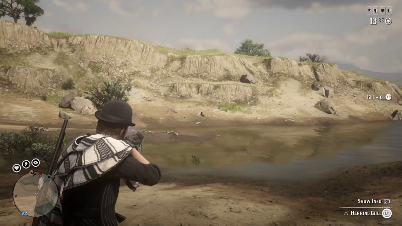 Red Dead Redemption 2 | Where to find 'Seagull' feathers to be plucked ...