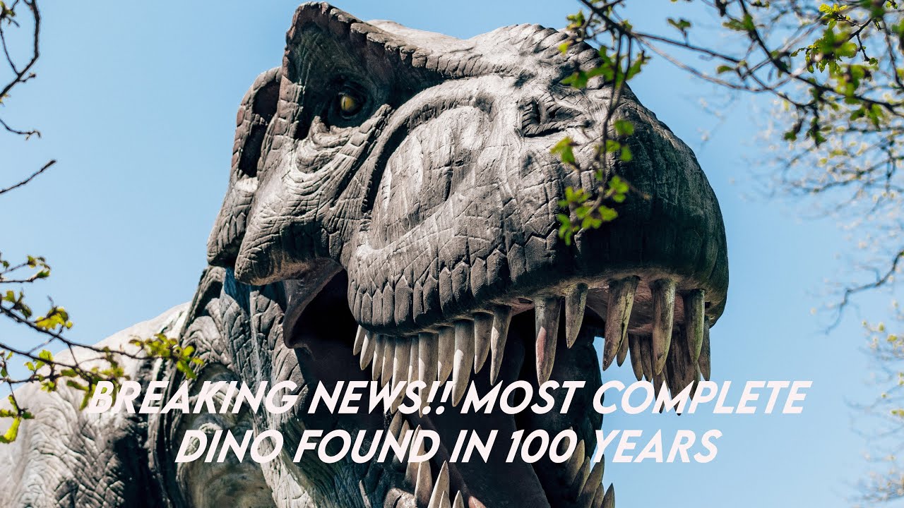 A Record-Breaking Find: Most Complete Dinosaur in a Century Found on ...