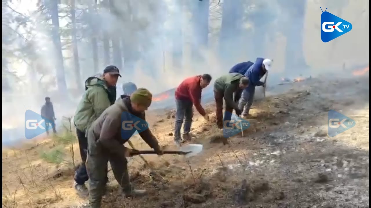 'High-risk' forest fire contained along LoC in north Kashmir's Gurez ...