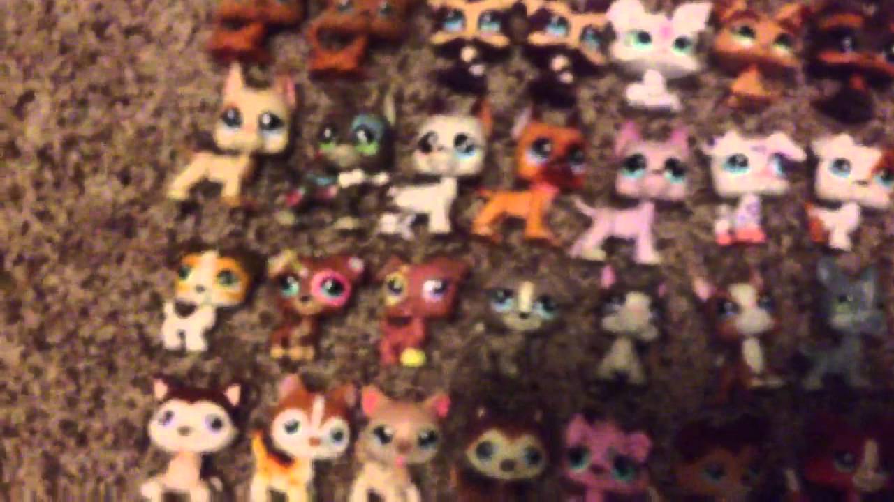My LPS dog collection! - YouTube