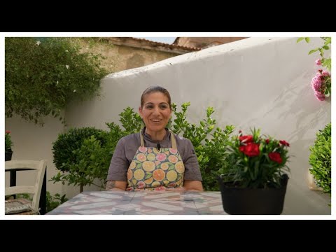 Υπέροχοι Άνθρωποι: Μαρία Χατζηθεοχάρους, το American Dream και το ...