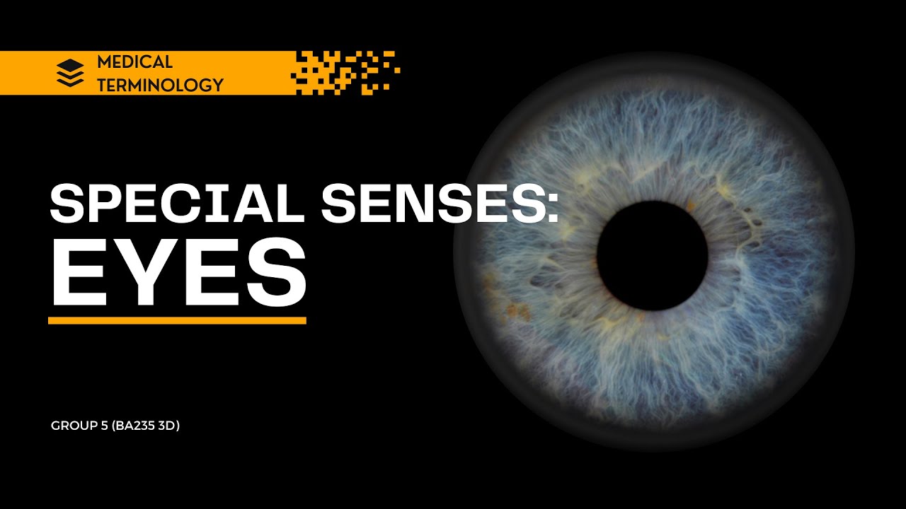 SPECIAL SENSE : EYE AND EAR (GROUP PROJECT HSM544) - YouTube