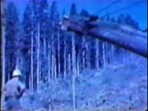 Conway Logging 1 - YouTube