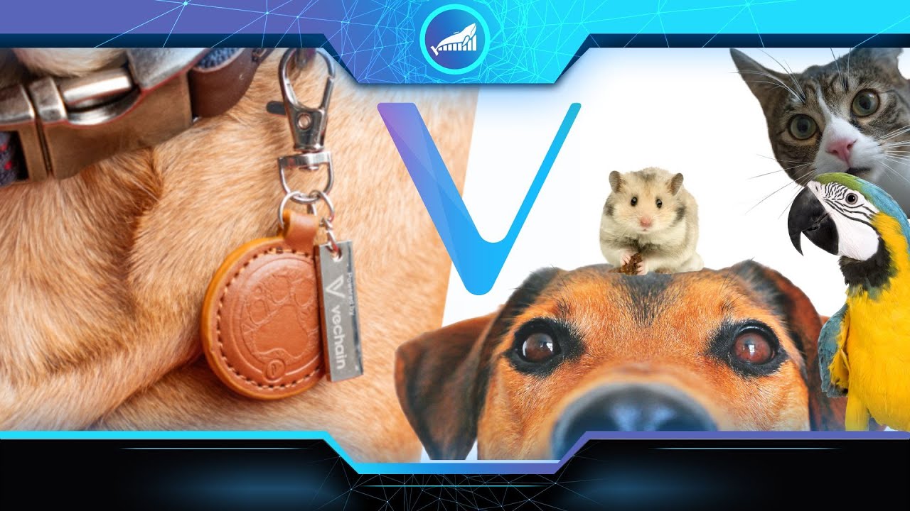 Vechain VET | Partnership with VeTag, $500 billion industry & Chart ...
