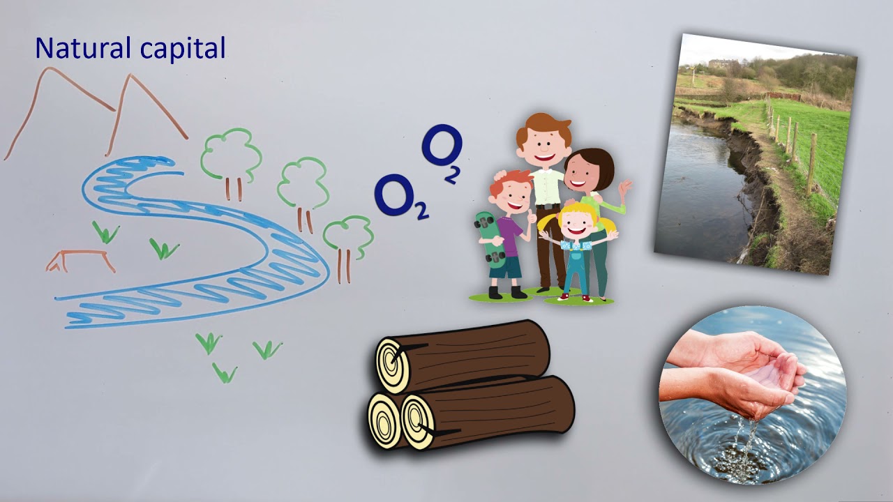 Natural Capital Explained YouTube natural-capital-explained-youtube