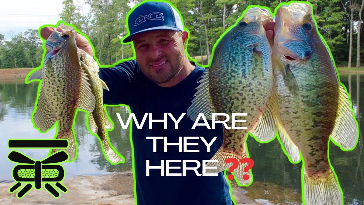 THIS CRAPPIE SPOT IS CRAZY! | Finding Crappie STRANGE places⁉️ - YouTube