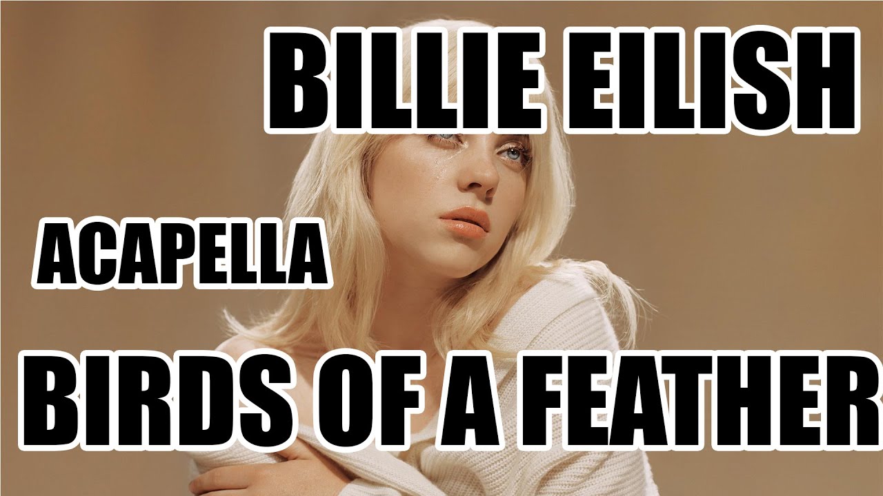 Billie Eilish - Birds of a Feather (ACAPELLA) - YouTube