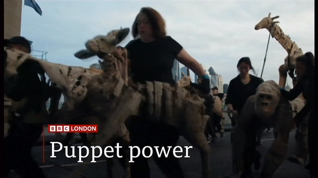 Life-sized animal puppet herd arrives in London (UK/Global) 27/June ...