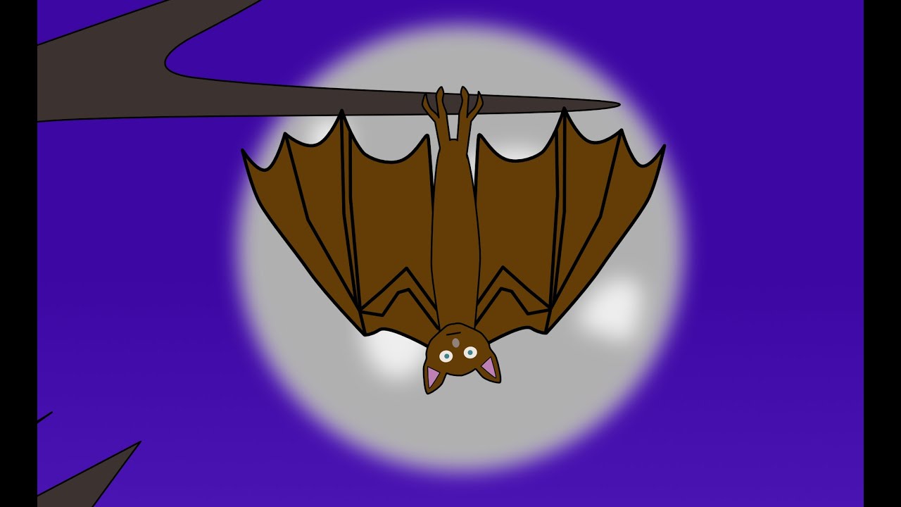 Brown Bat Flying Animation Clip - YouTube