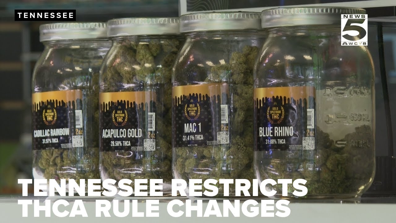 Tennessee judge temporarily restricts THCA rule changes - YouTube