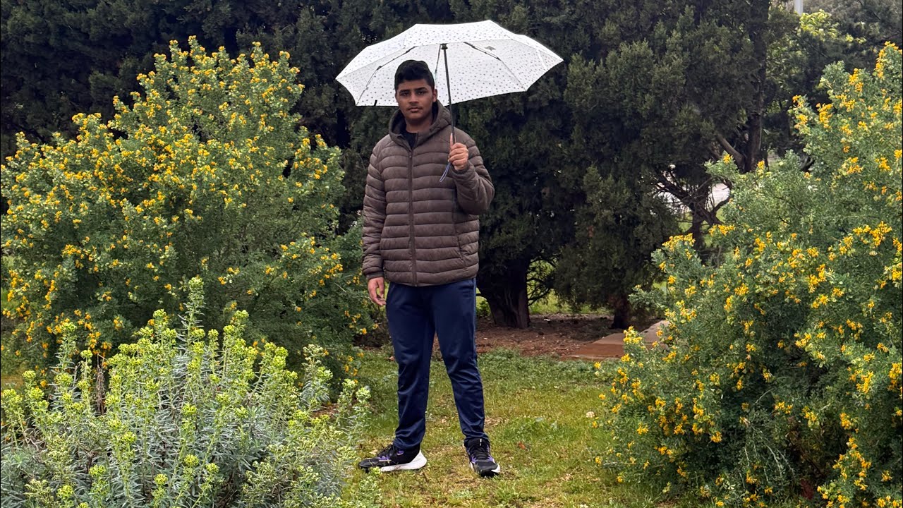 It is raining tomorrow🌧️🌧️ - YouTube