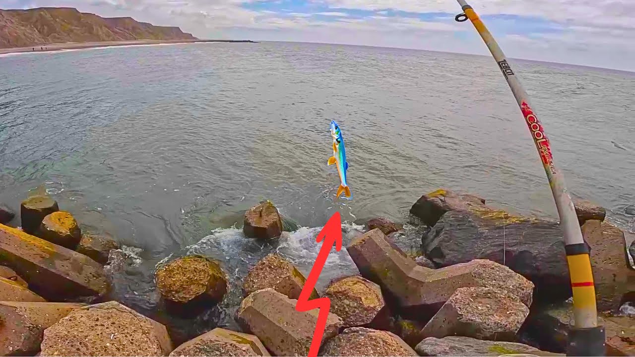 What is This Fish? I've Never Seen Anything Like it Before! Watch And ...