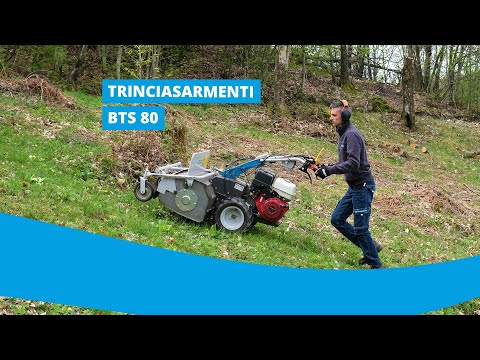 BERTOLINI BTS 80 EUR5 ÇALI VE YABANİ OT PARÇALAMA MAKİNESİ