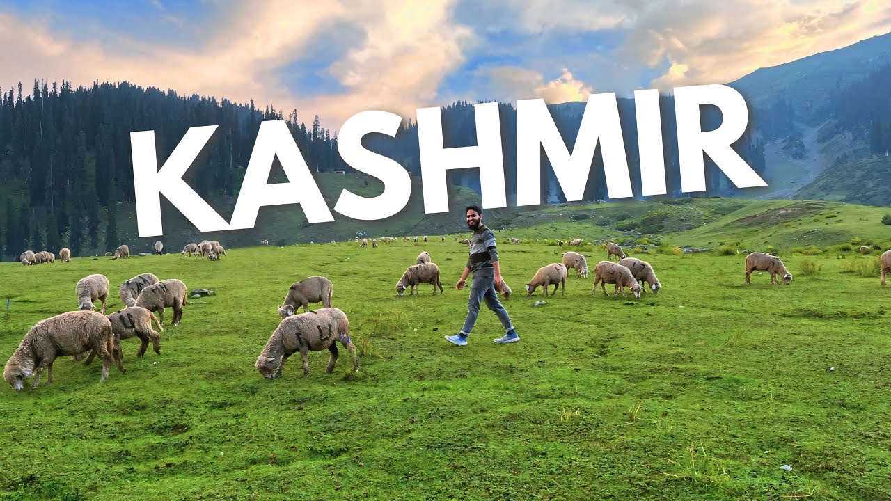 MY JOURNEY TO KASHMIR ️ | MAAZ WEAVER - YouTube