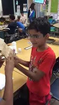 Mystery Bag Observation 2 - YouTube