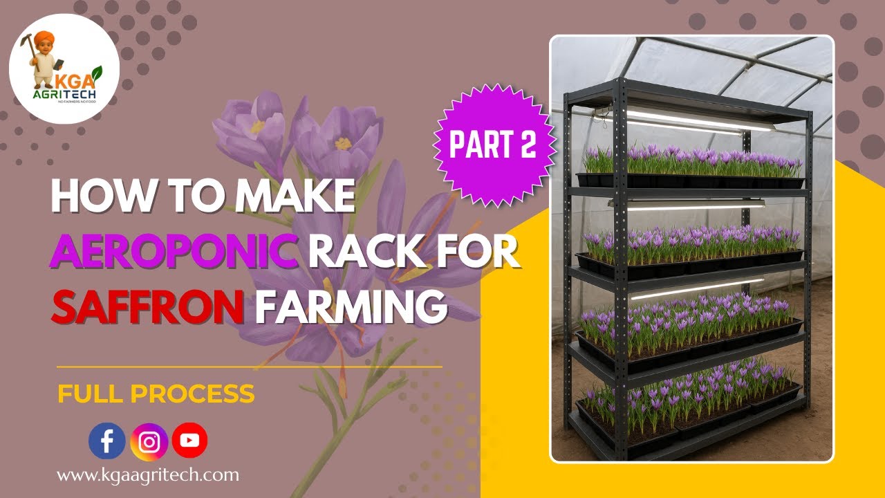How to make aeroponic rack for saffron farming - YouTube