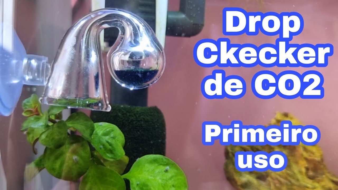 Kit de drop checker de CO2 - primeira utilização - YouTube