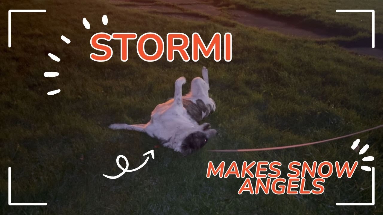 Stormi Makes ‘Snow Angels’ on the Grass?! 😂 | Fall Night Walk with ...