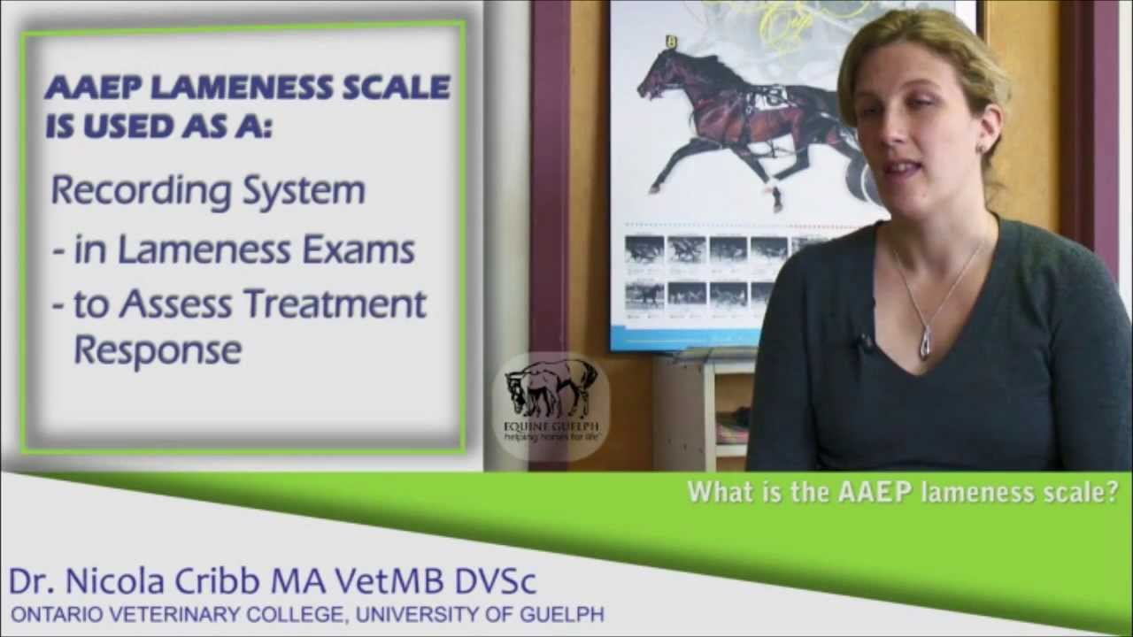 What are the signs a horse may be lame? - Dr. Nicola Cribb - YouTube