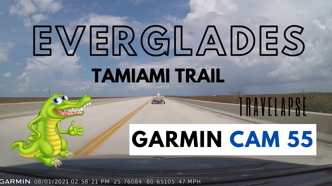 Florida Everglades Scenic Highway | Driving through Alligator Alley and ...