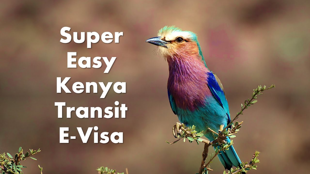 How to complete the Kenya Transit E-Visa application 🇰🇪 - YouTube