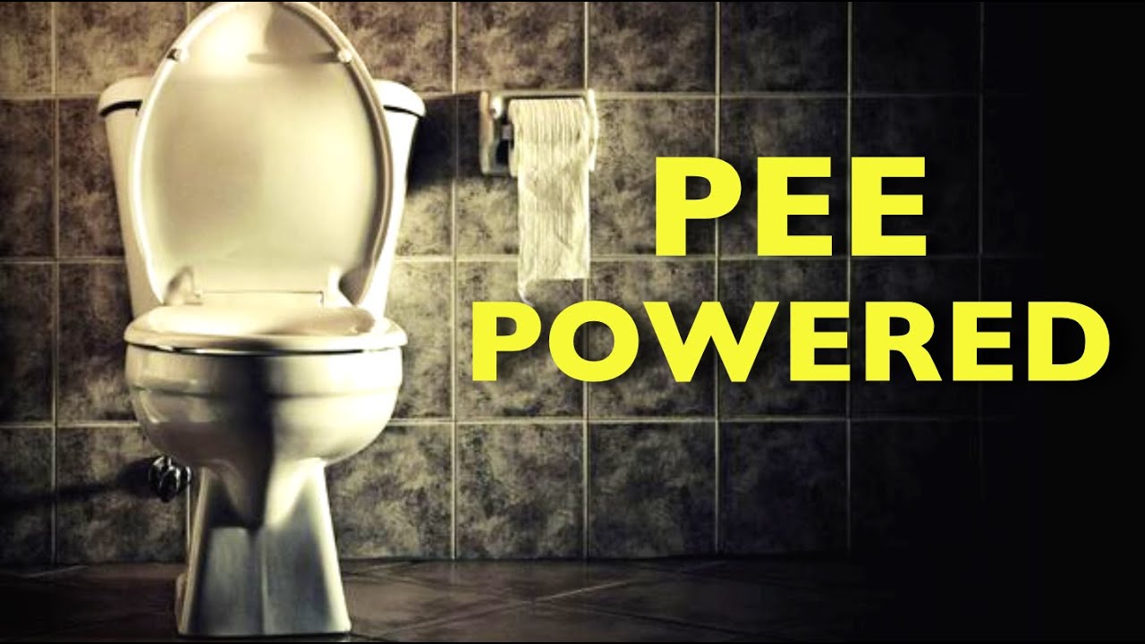 This Toilet Turns Pee Into Electricity - YouTube