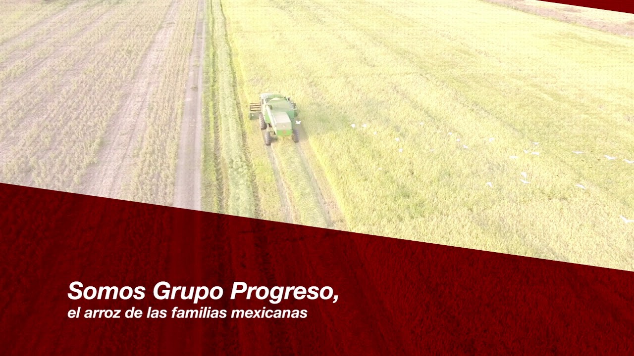 GRUPO PROGRESO, UN ARROZ 100% MEXICANO - YouTube