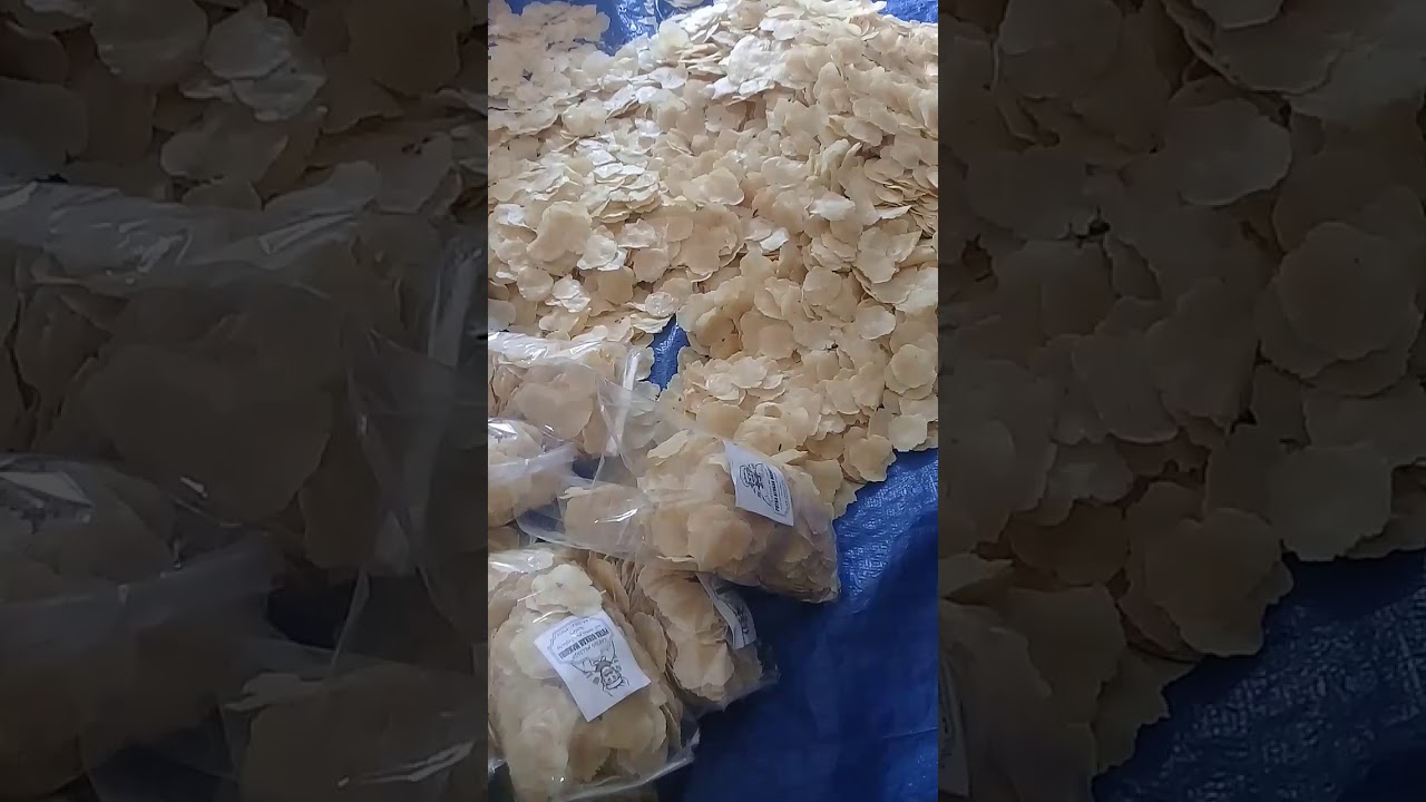 EMPING MELINJO ASLI - MENES PANDEGLANG - BANTEN - YouTube