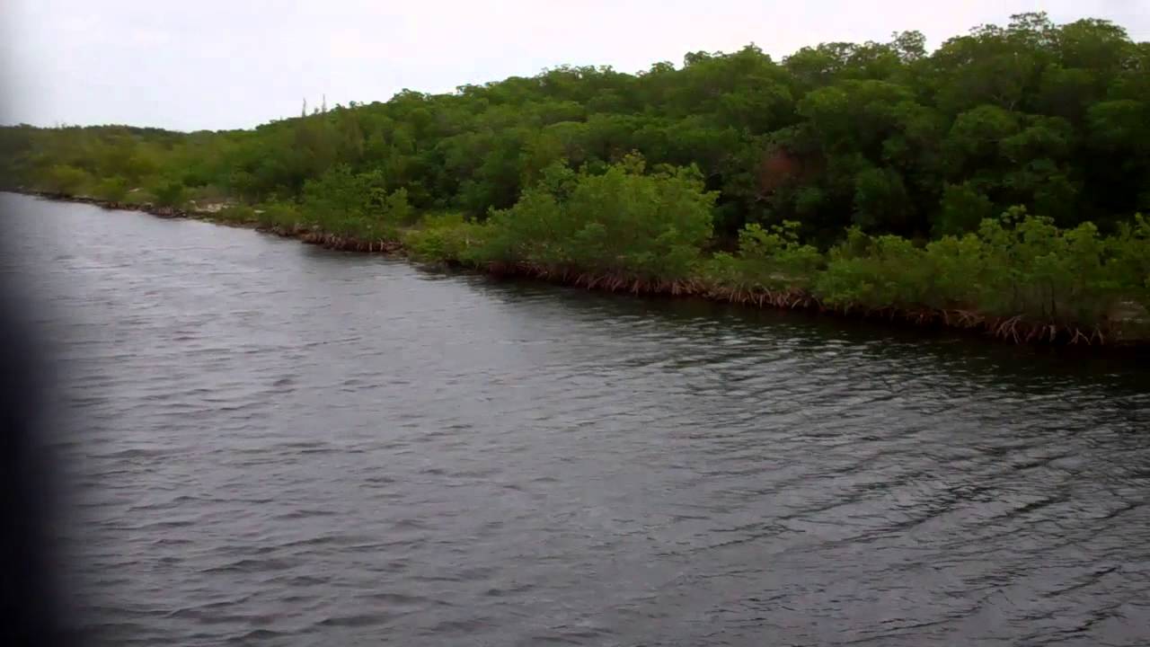 Danielle and Lilly: Bloopers and fun at Keys Cable Park in Marathon ...