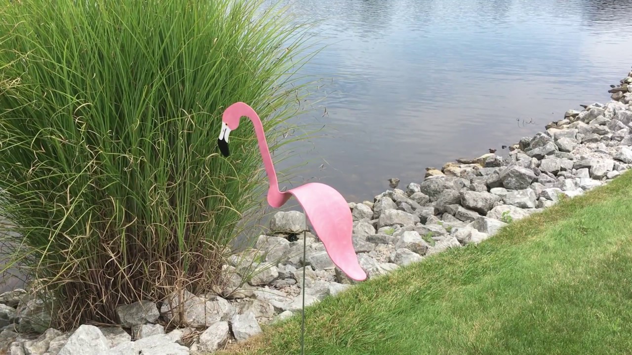 Florida Dancing Birds® Pink Flamingo Garden Art - YouTube