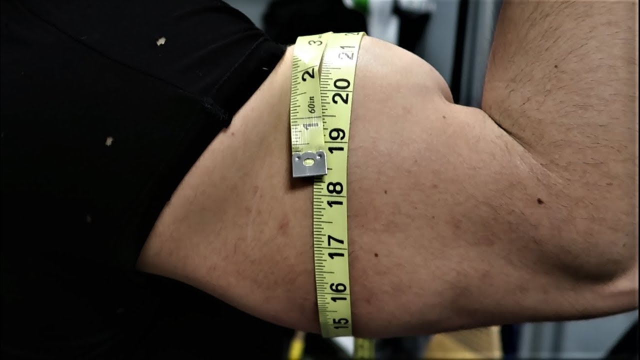ADD ONE INCH TO YOUR ARMS YouTube