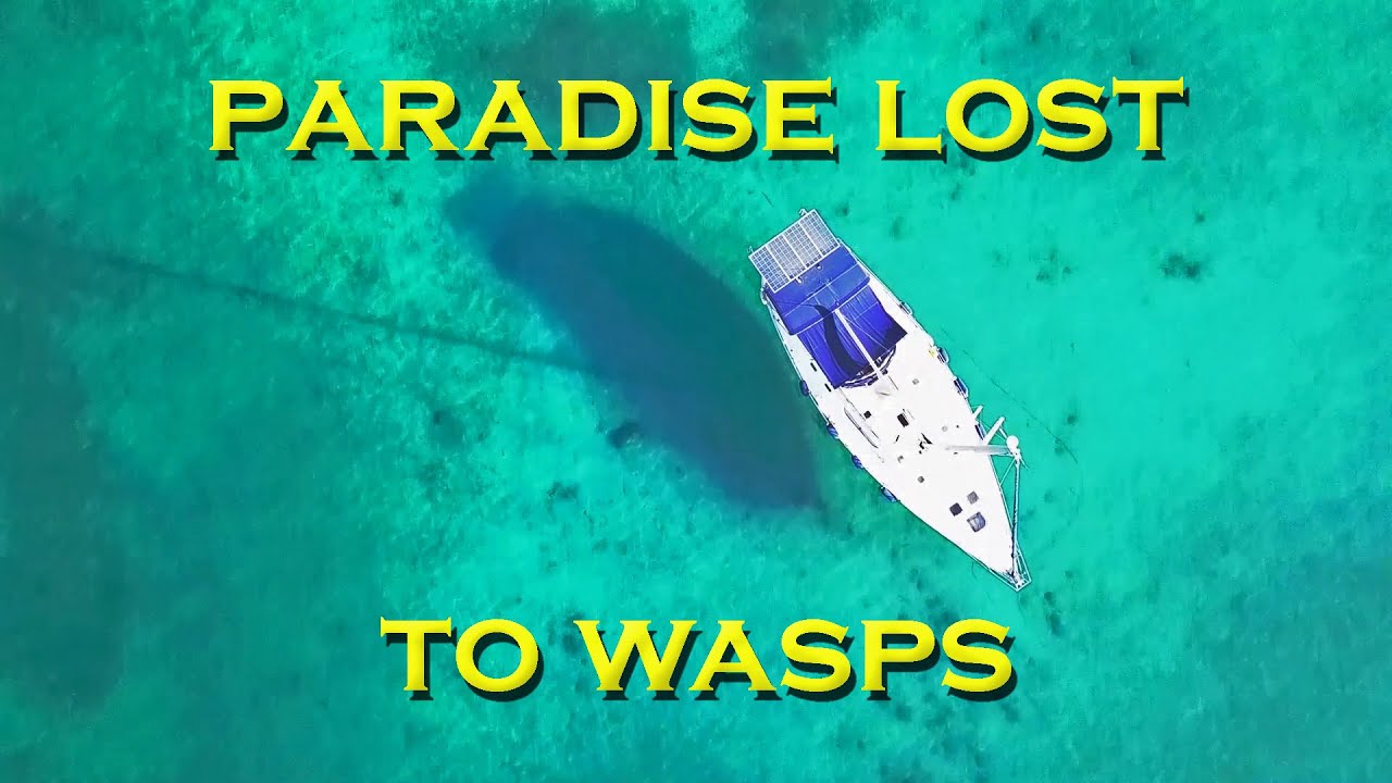 The wasp invasion - Sailing A B Sea (Ep.190) - YouTube