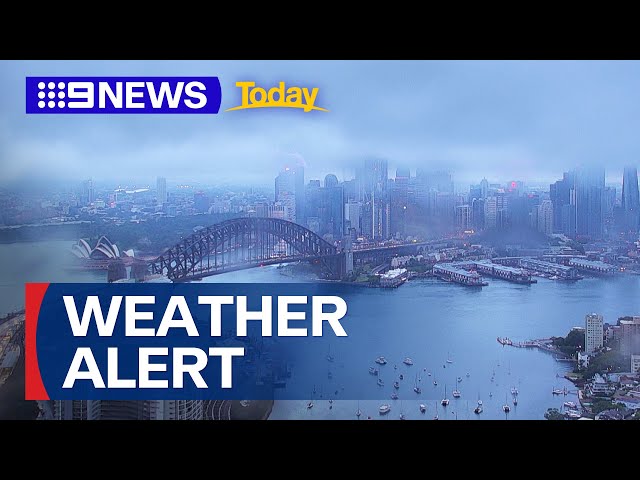 Sydney Weather Memes