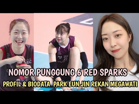 Profil & Biodata Park Eun Jin Nomor 6 Red Sparks | Rekan Megawati Hangestri - YouTube