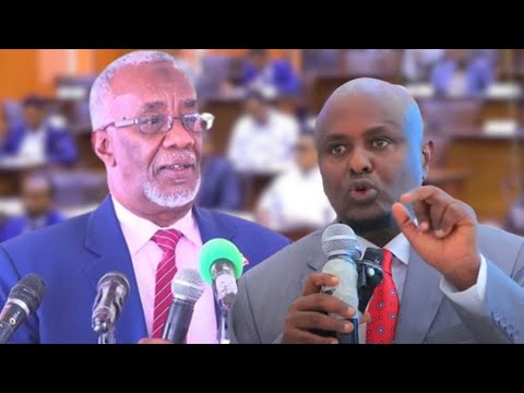 Faratoon Oo Cali Xaamud Sidadban Ugu Jawaabay - YouTube
