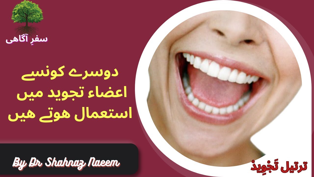 Tajweed ||Types of teeth || Names of teeth in Arabic - YouTube