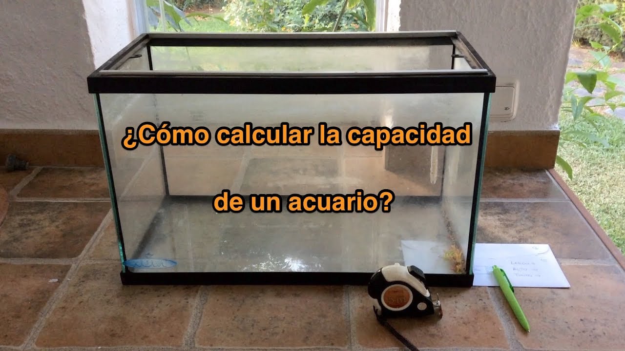 TIP 4 C mo CALCULAR La CAPACIDAD Acuario How To Calculate A TIP 4 C mo CALCULAR La CAPACIDAD Acuario How To Calculate A
