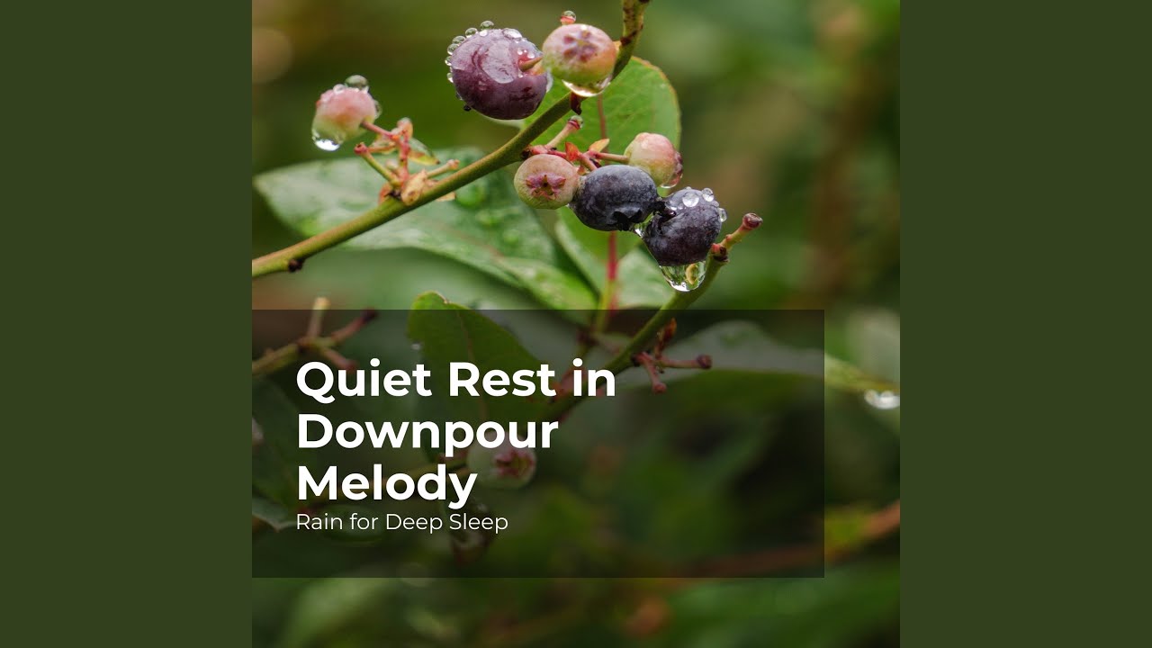 Twilight Teeming Rain - YouTube