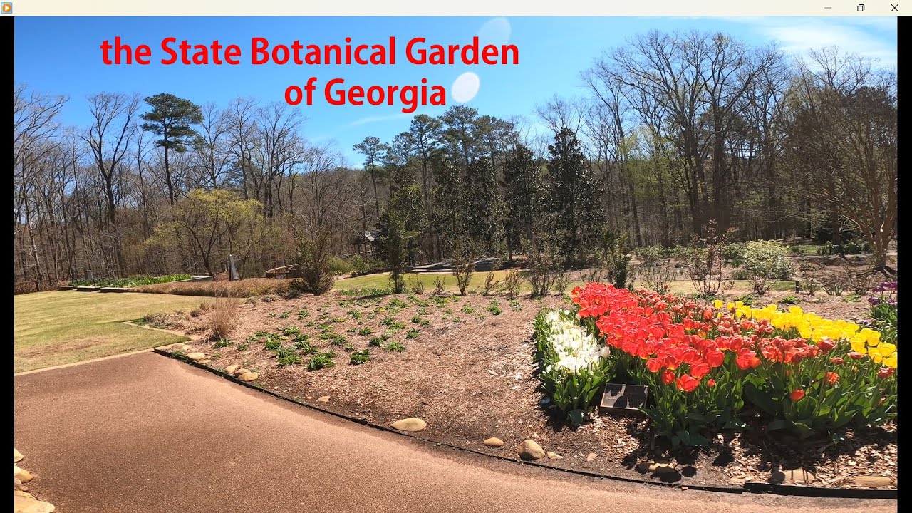 Sights & Sounds Of Athens: the State Botanical Garden of Georgia - YouTube