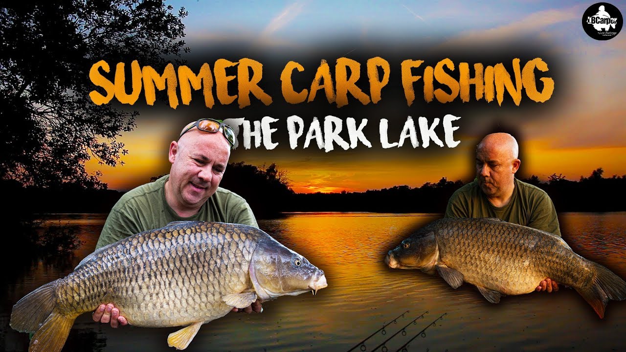 Summer Carp Fishing - Fishing The Park Lake - Leons Carp Vlog - YouTube