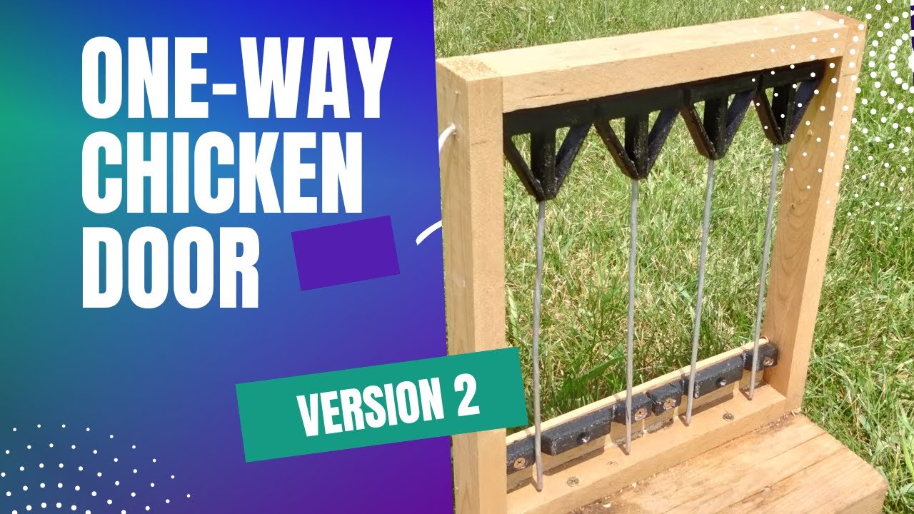 One-Way Chicken Bob Door v2 - YouTube