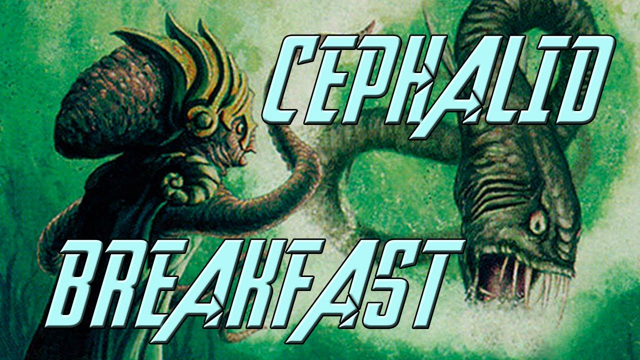 Legacy Cephalid Breakfast 4 - YouTube
