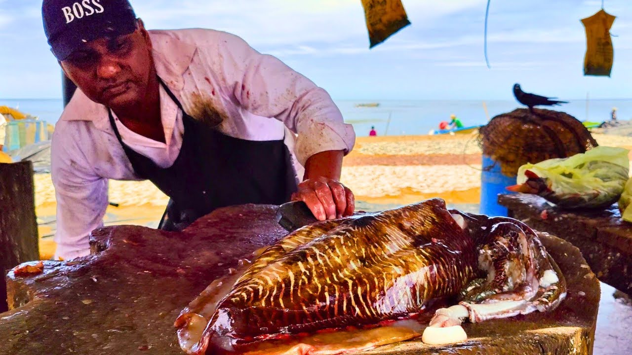 The Most Satisfying Cuttlefish Cutting Scene | The Biggest Squid Ever ...