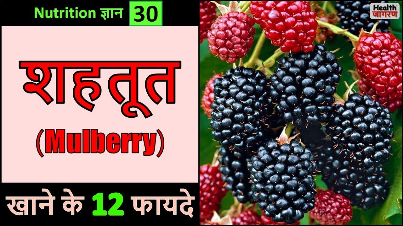 शहतूत खाने के 12 गजब के फायदे | Health Benefits of Mulberry/Shahtut ...