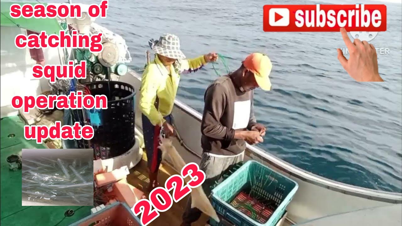 fishing boat amazing adventure/season of catching squid operation ...