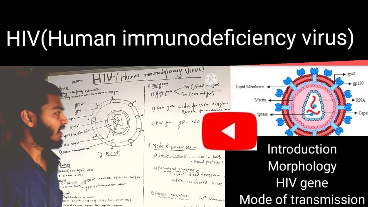 Structure of HIV( human immunodeficiency virus), introduction ...